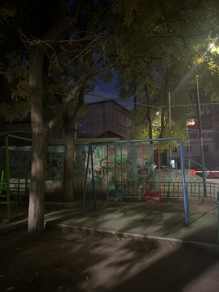Oyun alanı Playground, Erivan, foto