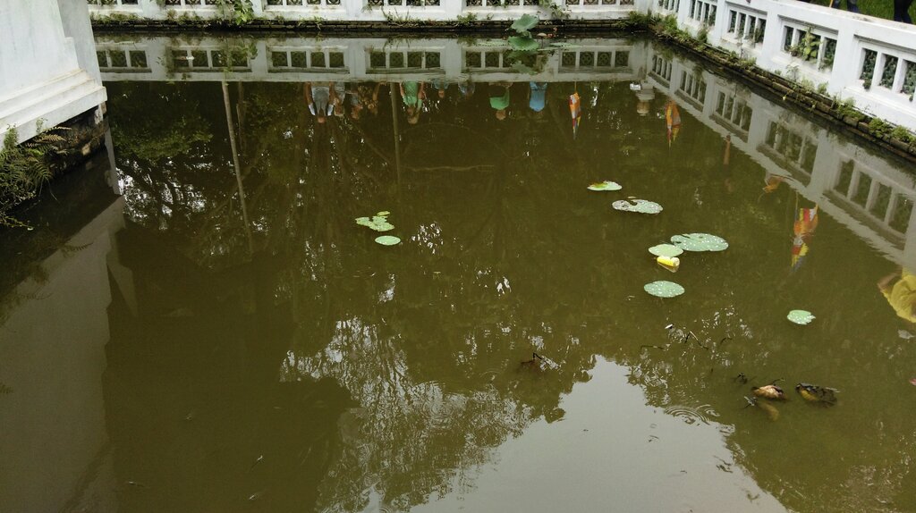 Pagoda Тюа-Мот-Кот, Hanoi, foto