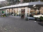Магазин цветов (Komitas Avenue No:48/5), çiçekçiler  Erivan'dan