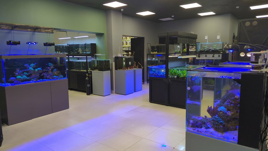 Petshop Gazanik, Erivan, foto