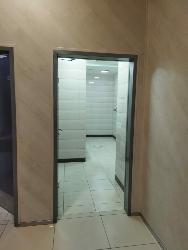 Tuvalet Toilet, Domodedovo, foto