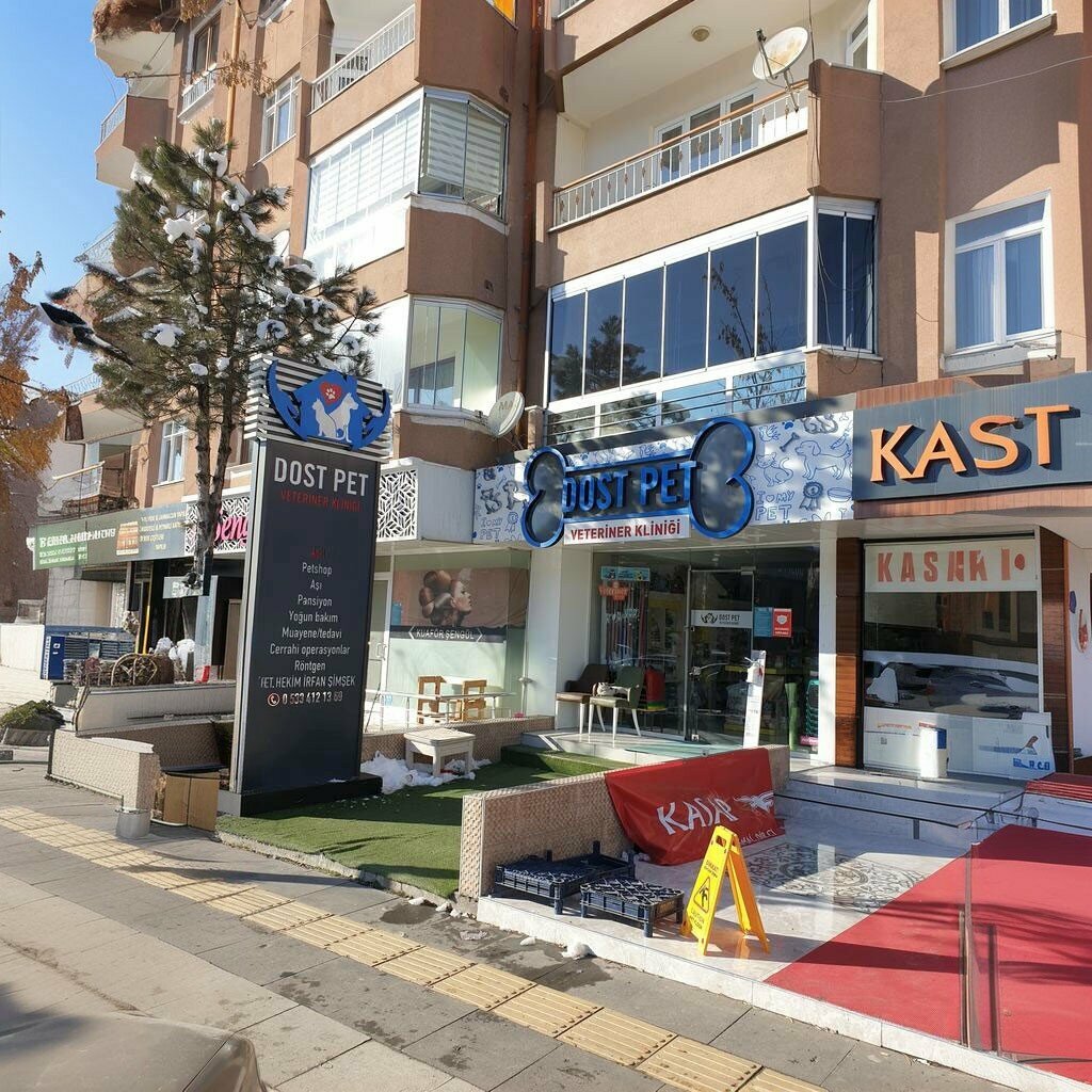 Veteriner klinikleri Dostpet Veteriner Kliniği, Sivas, foto