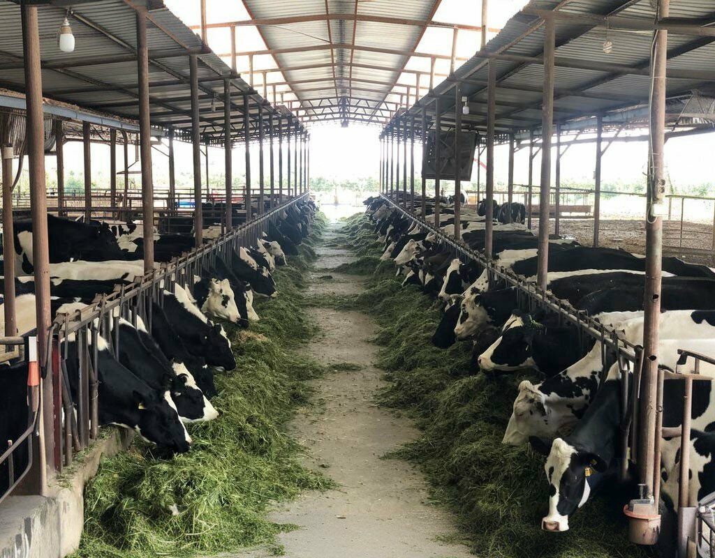 Kasap, şarküteri Ballılar Çiftliği Kasap&şarküteri, Seferihisar, foto