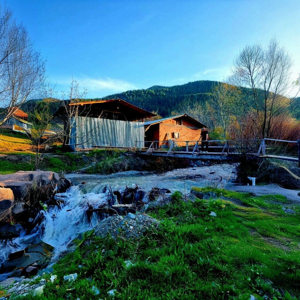 Muhtarlıklar Yukarıberçin Köyü Muhtarlığı, Tosya, foto