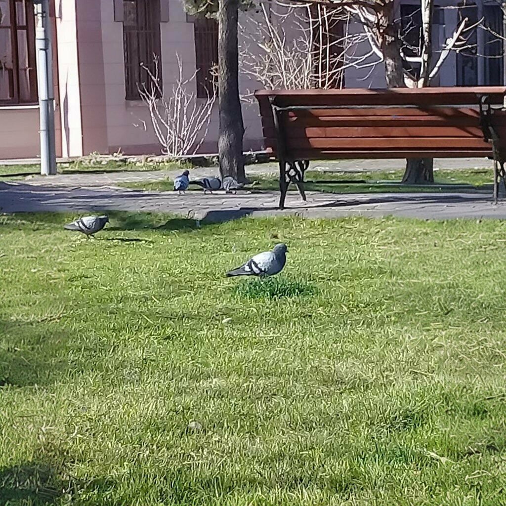 Kültür ve eğlence parkları Parklar ve ormanlar, Kayseri, foto