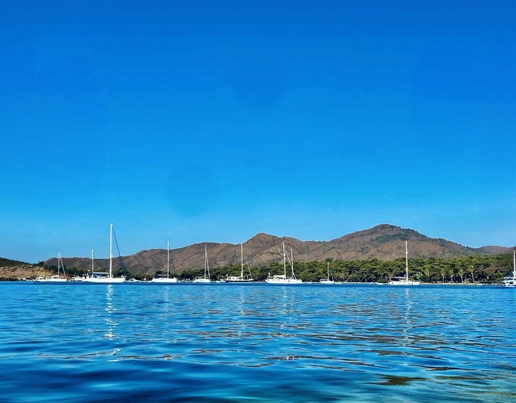 Restoran Aktur Kurucabük Restaurant, Dünya, foto