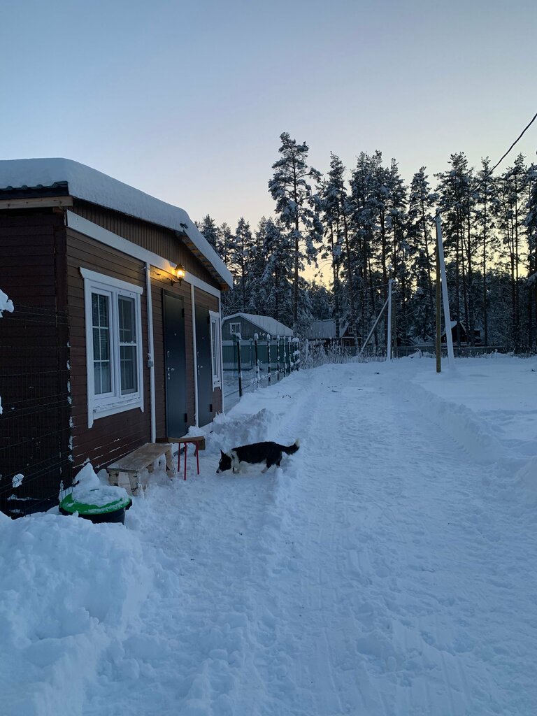 Konuk evi Guests hutor Dobriy, Saint‑Petersburg ve Leningradskaya oblastı, foto