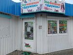 Дружок (Brest, Paŭdniovy park), petshop  Brest'ten