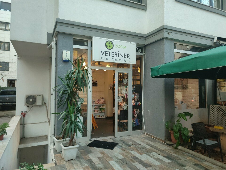 Veteriner klinikleri Zoom Veteriner, İstanbul, foto