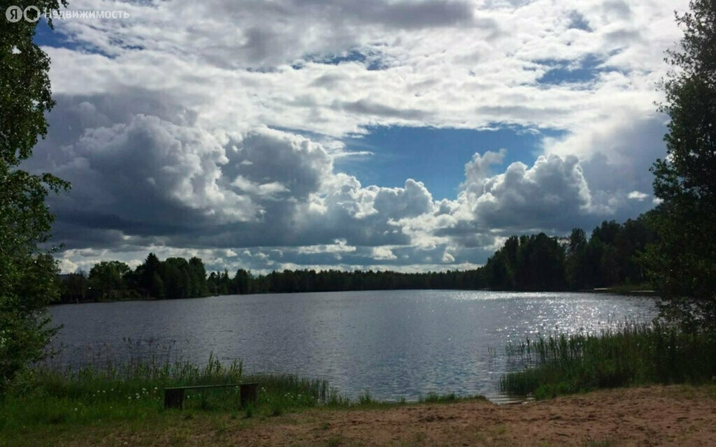 Yazlık yerleşim Лужское-Нелаи, Saint‑Petersburg ve Leningradskaya oblastı, foto