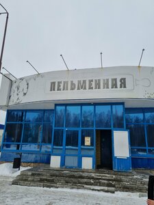 Пельменная (Sverdlovsk Region, Beryozovskiy munitsipalny okrug, Rezhevskoy trakt, 31-y kilometr, 1), fast food