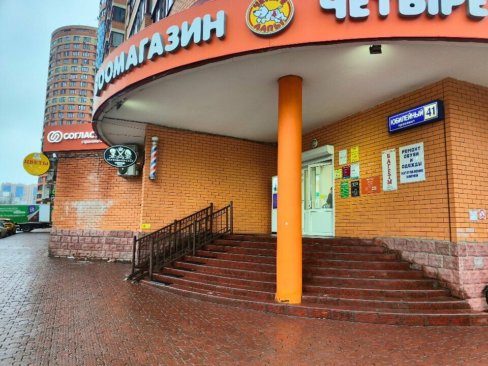 Evcil hayvan kuaförleri Четыре Лапы Груминг, Reutov, foto