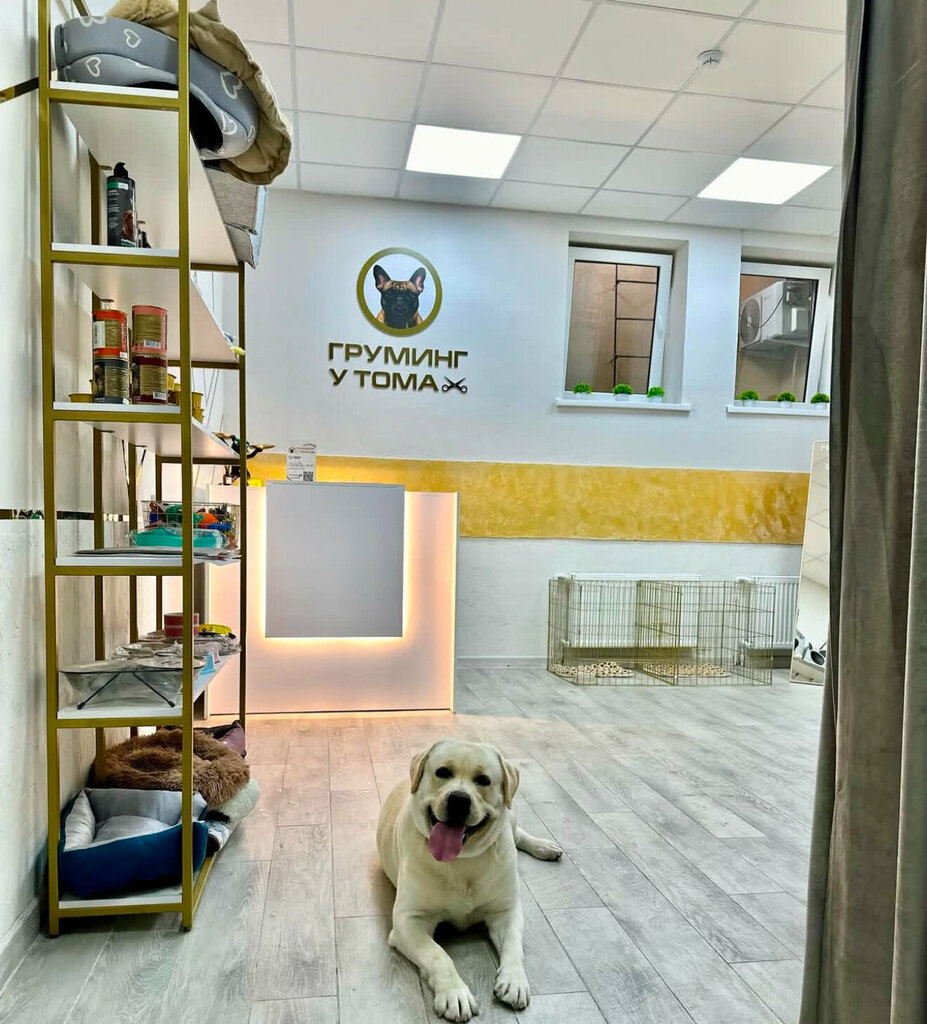 Evcil hayvan kuaförleri Груминг салон у Тома, Kırım Cumhuriyeti, foto