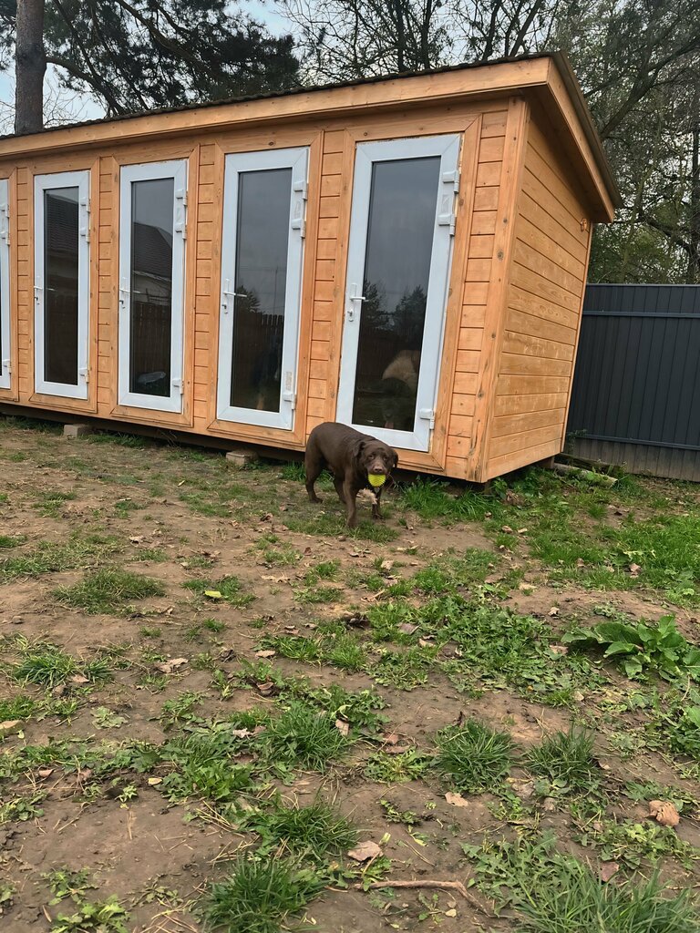 Pet otel Sly Dog, Moskova ve Moskovskaya oblastı, foto