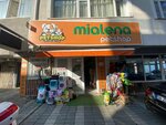 Mialena (Selami Ali Mah., Katip Çelebi Sok., No:4B, Üsküdar, İstanbul), petshop  İstanbul'dan