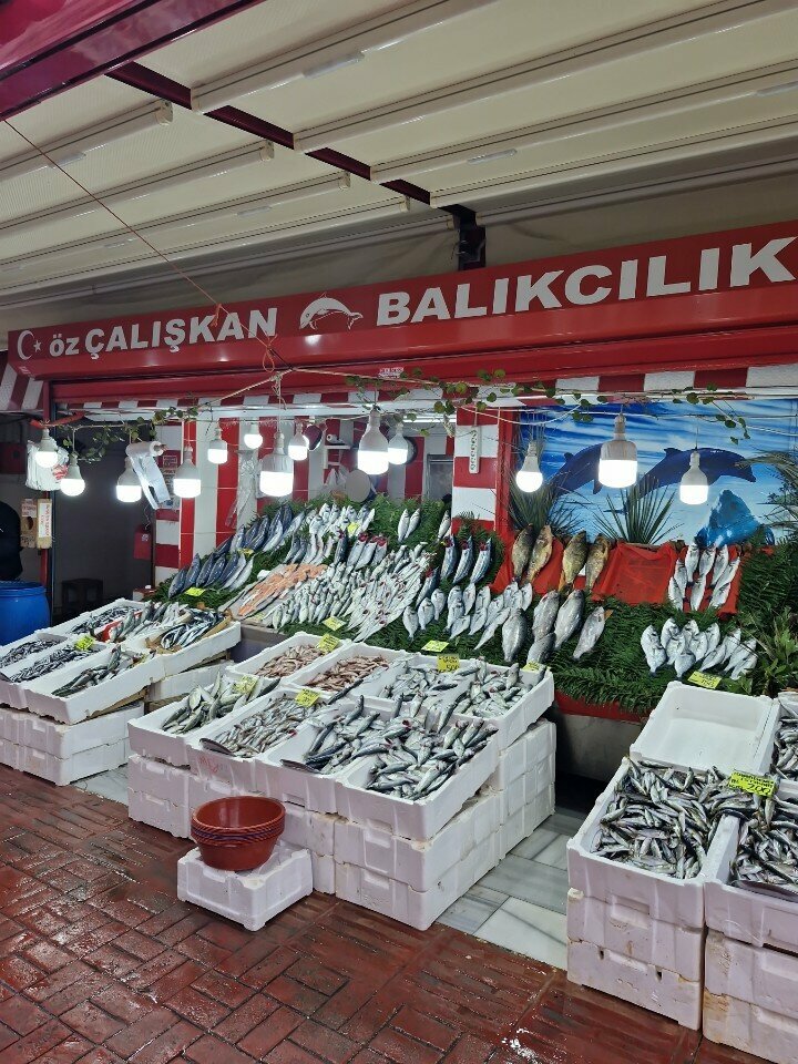 Balık ve deniz ürünleri Özçalışkan Balıkçılık, İstanbul, foto