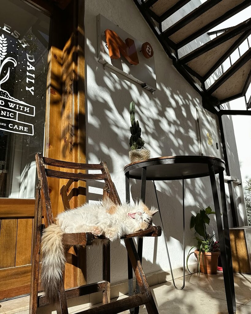 Ekmek fırını № 8 Bakery, Kaş, foto