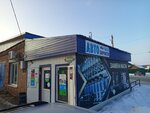 Автосервис (Novaya ulitsa No:1А, selo Shigony), otomobil servisi  Samarskaya oblastından
