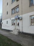 021 Nekretnine (ulitsa Maksima Gorkogo No:6), emlak ofisi  Novi Sad'dan