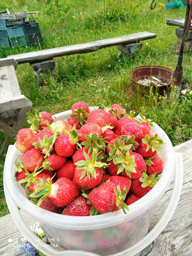 Belediyeler, devlet daireleri Administratsiya d. Panteleykovo, Sverdlovskaya oblastı, foto
