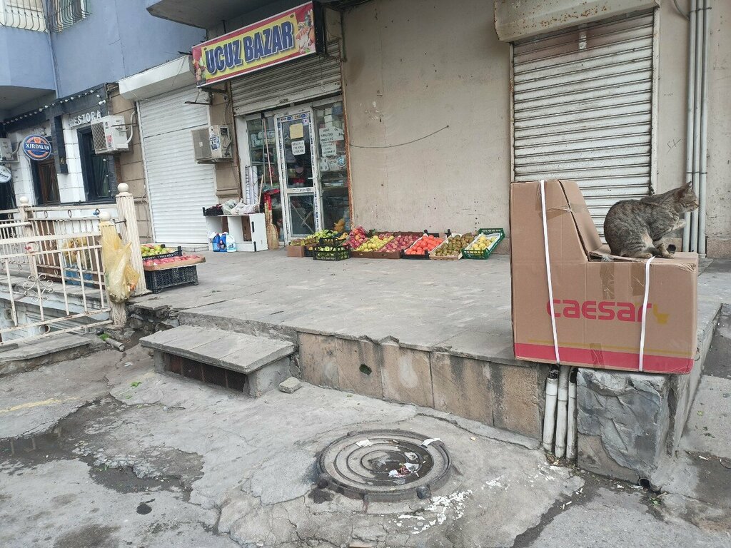 Ev temizlik ürünleri Ekonom, Bakü, foto