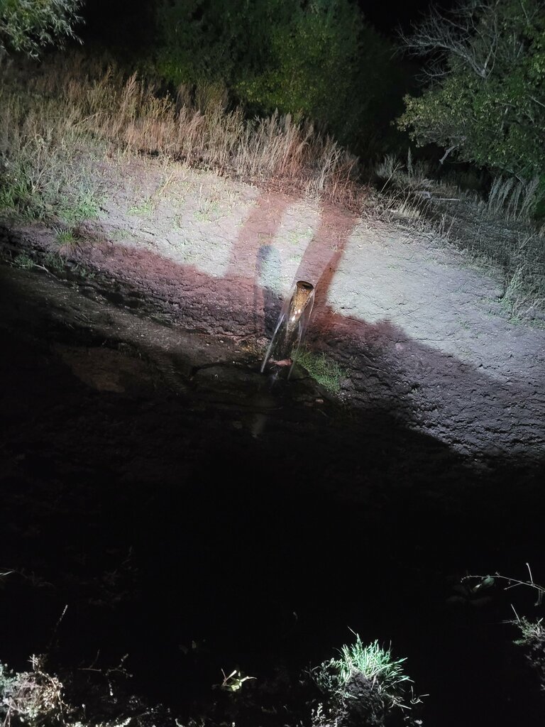 Pınar, çay Spring, stream, Orenburgskaya oblastı, foto