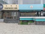 Animals (Krasniy Avenue No:17), bar  Novosibirsk'ten