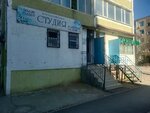 Aktau_flower_fialki (No:23, 11-shi shaǵyn aýdan), çiçekçiler  Aktav'dan
