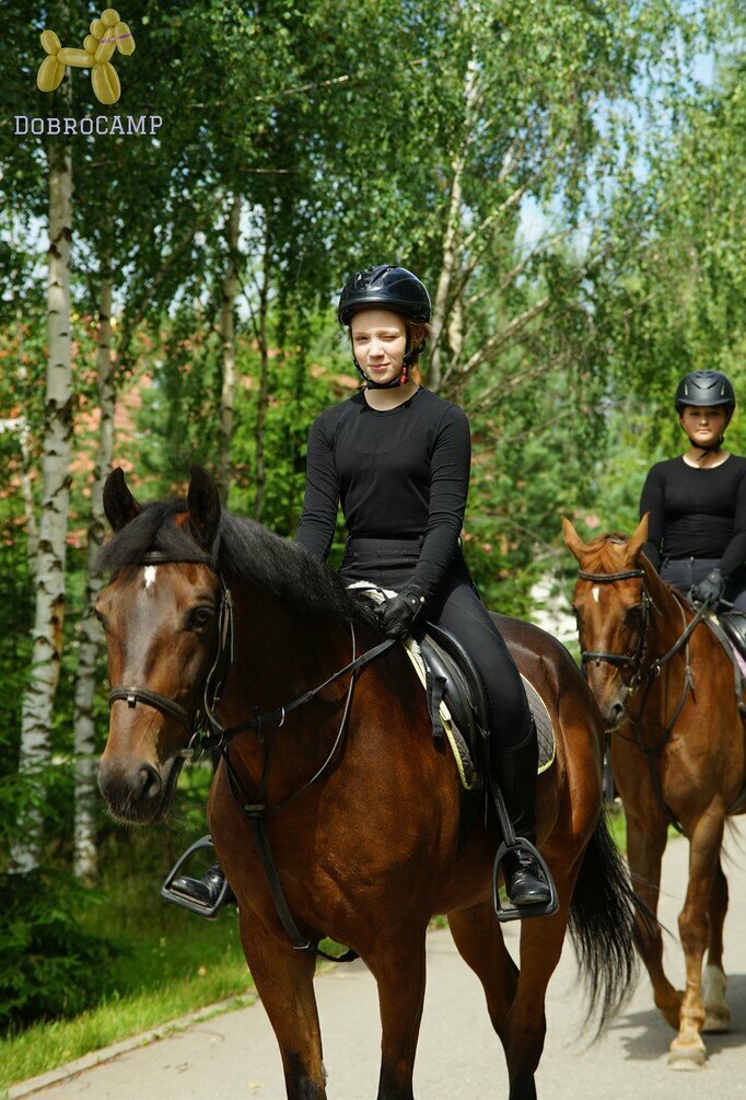 Yaz kampı DobroCAMP, Moskova ve Moskovskaya oblastı, foto