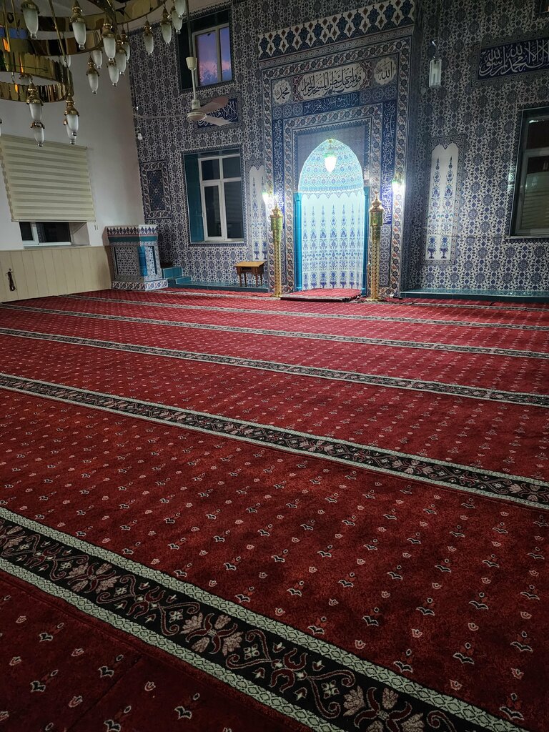 Cami Söğütalan Köyü Cami, Çan, foto