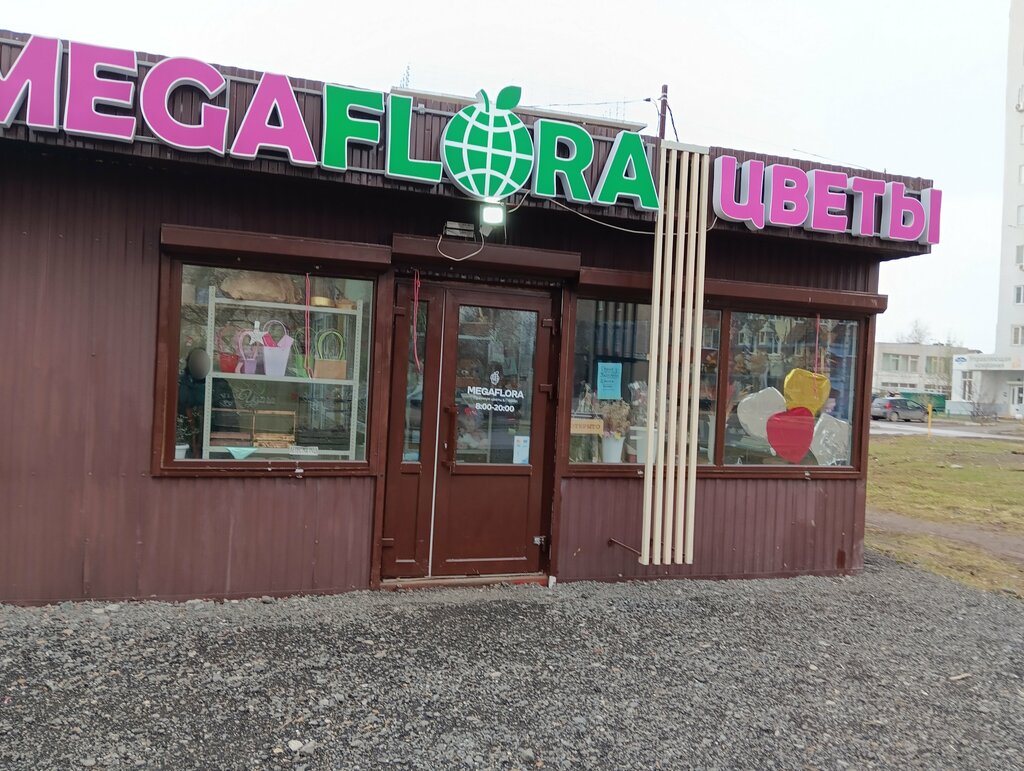 Çiçekçiler Megaflora, Perm, foto