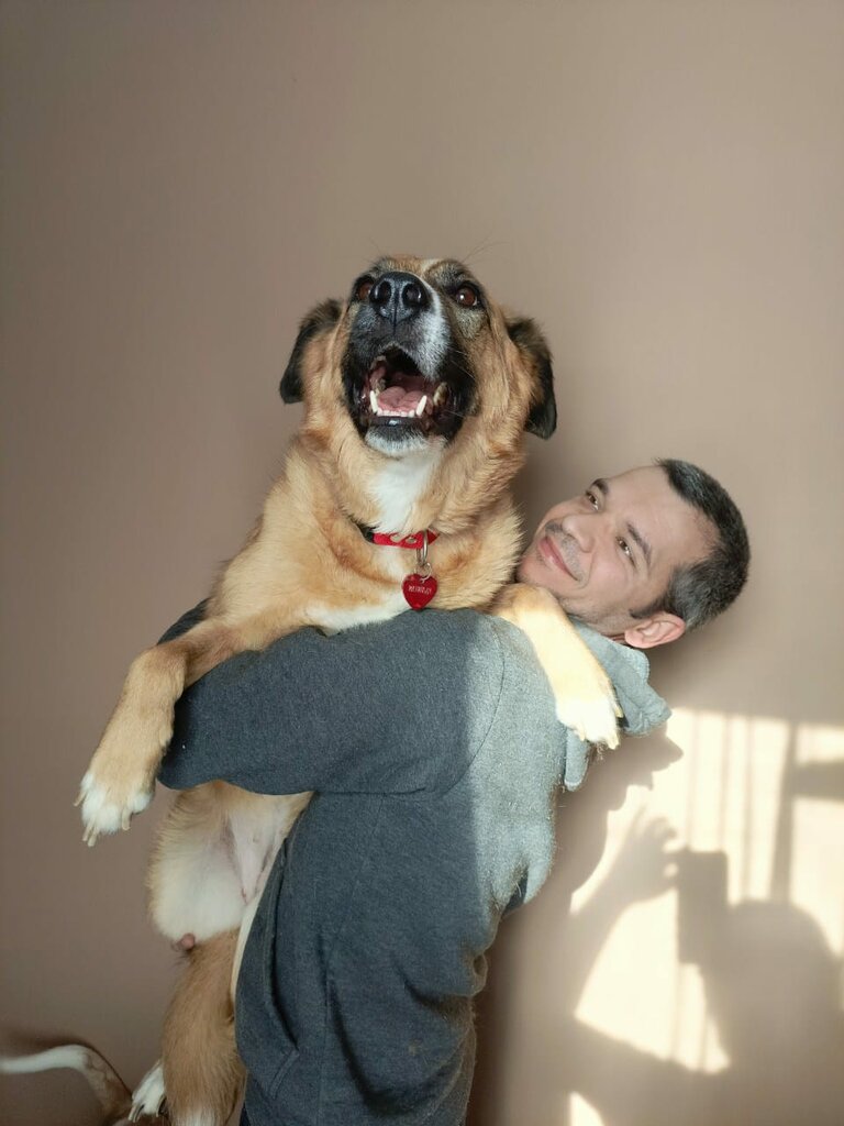 Pet otel Надежные Руки, Moskova ve Moskovskaya oblastı, foto