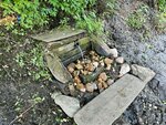Spring, stream (Skhodnya River), pınar, çay  Moskova ve Moskovskaya oblastından