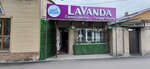 Simpatia (Mederov Street No:58), çiçekçiler  Bişkek'ten