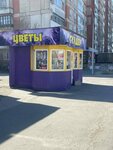 D2 flowers (Nursultan Nazarbaev dańǵyly No:204), çiçekçiler  Pavlodar'dan
