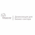 Kvole (Moskovskiy Avenue No:212), haşere ilaçlama firmaları  Saint‑Petersburg'dan