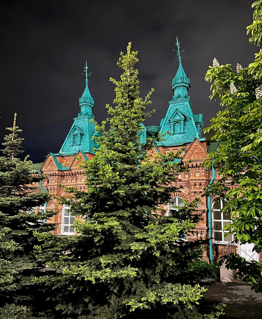 Turistik yerler Главный корпус детской больницы им. Д.С. Подзеевой, Saratov, foto