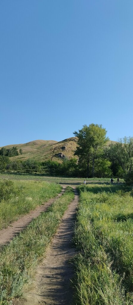 Doğa Губерлинское ущелье, Orenburgskaya oblastı, foto