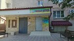 Умные детки (ulitsa Menzhinskogo No:11А), çocuk gelişim merkezleri  Volgograd'dan