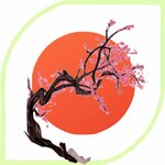 Japshop (Stromynka Street No:16), ev temizlik ürünleri  Moskova'dan