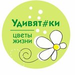 Udivyat ki (Pulkovskaya Street No:2к1), çiçekçiler  Saint‑Petersburg'dan