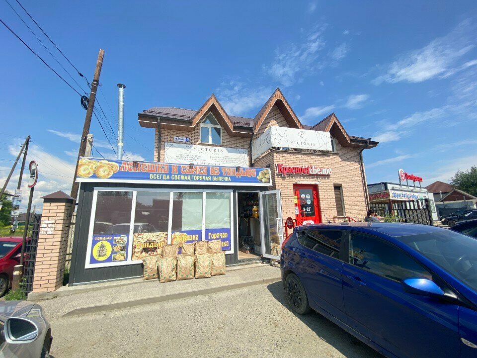 Ekmek fırını Лепешка и самса из тандыра, Sverdlovskaya oblastı, foto