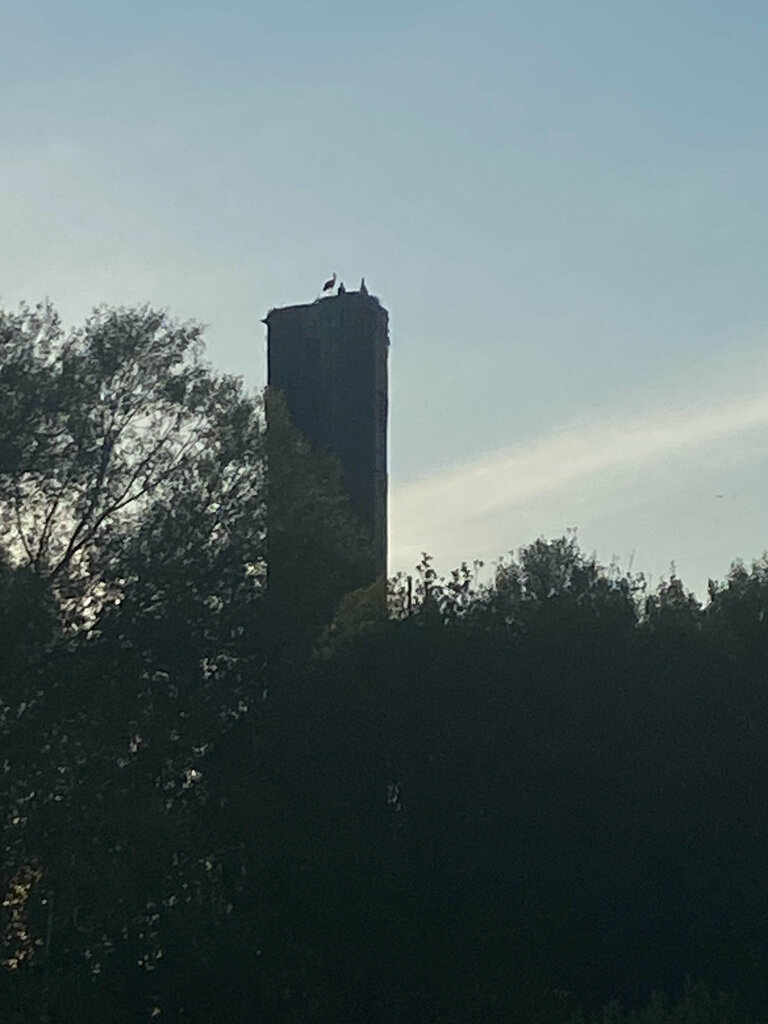 Mühendislik altyapısı Водозаборный узел № 9, Moskova ve Moskovskaya oblastı, foto