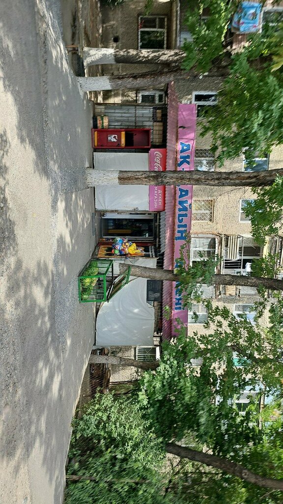 Ödeme terminali Qiwi, Çimkent (Şımkent), foto