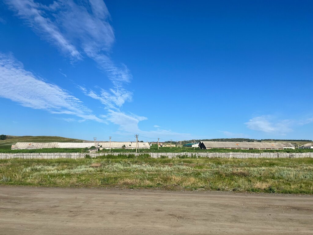 Tarım firmaları СПК имени В. И. Ленина, Başkurdistan, foto