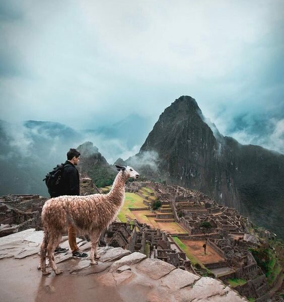 Seyahat acenteleri Ai. Standard policiy 100138, Cusco, foto