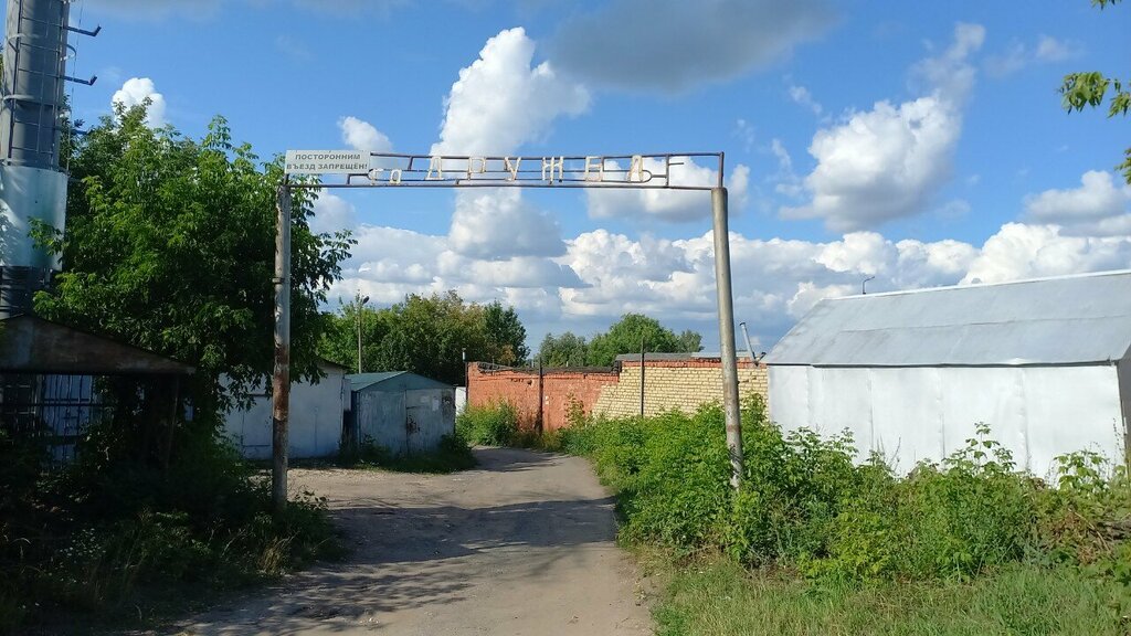 Garajlar ГК Дружба, Saransk, foto