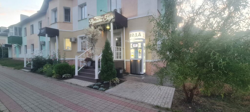 Su satışı Zhivo - Chistaya voda, Gubkin, foto