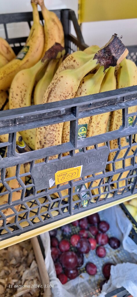 Market Tumar, Kostanay eyaleti, foto