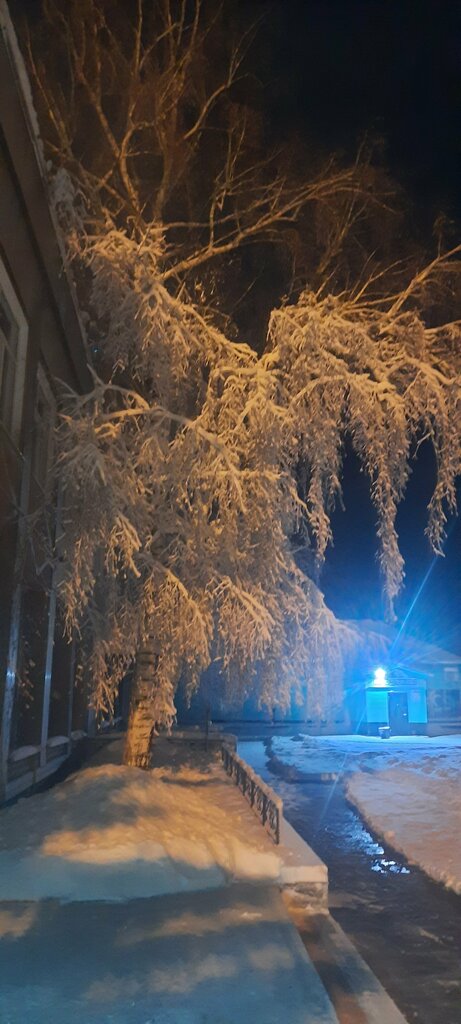 Petrol ürünleri üreticileri Biyskaya neftebaza, Biysk, foto